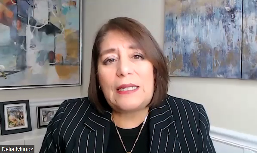 Delia Muñoz: Perú no fue explícito ante el EPU- ONU en su narrativa ...