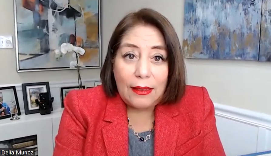 Delia Muñoz sobre contienda de competencia del TC «El Congreso no está ...